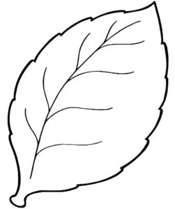 Moldes de Folhas: 70+ Modelos Lindos - Pop Lembrancinhas