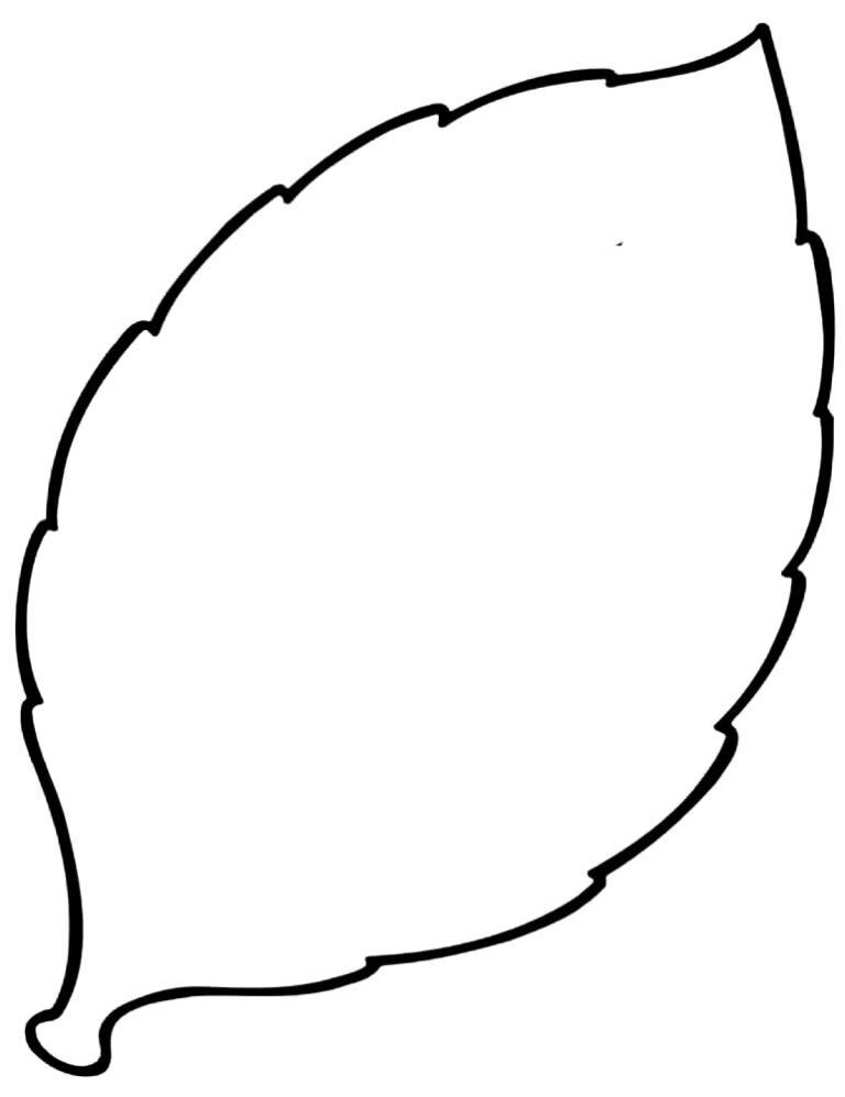 Moldes de Folhas: 70+ Modelos Lindos - Pop Lembrancinhas