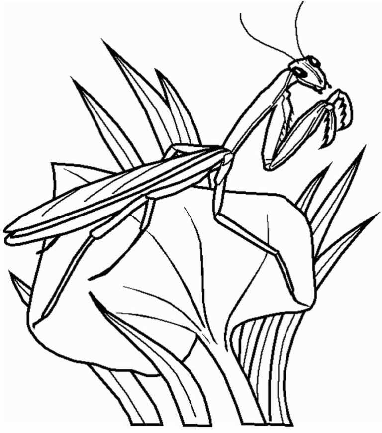 80+ Desenhos de Insetos para colorir - Pop Lembrancinhas